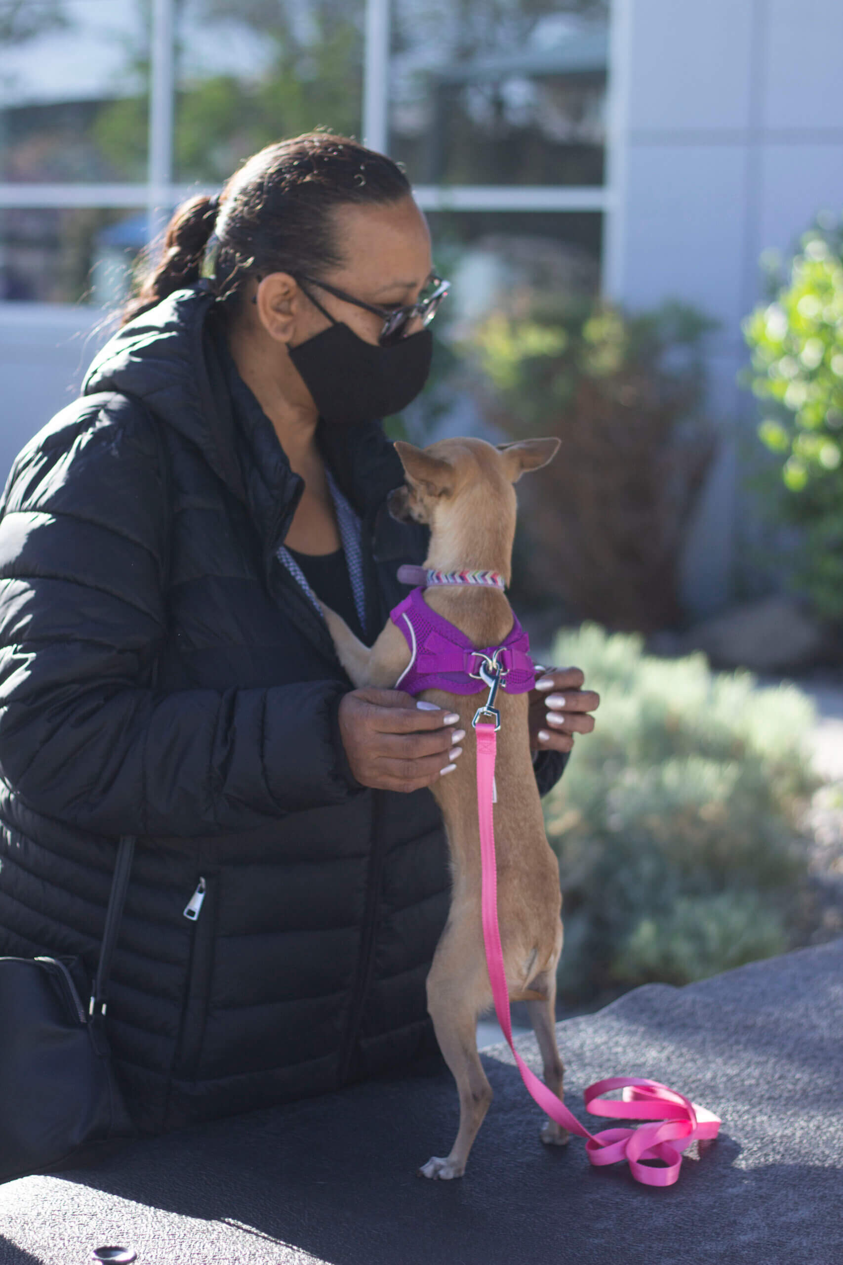 Feeding Pets of the Homeless Receives $10K Donation from CareVet | Pets ...