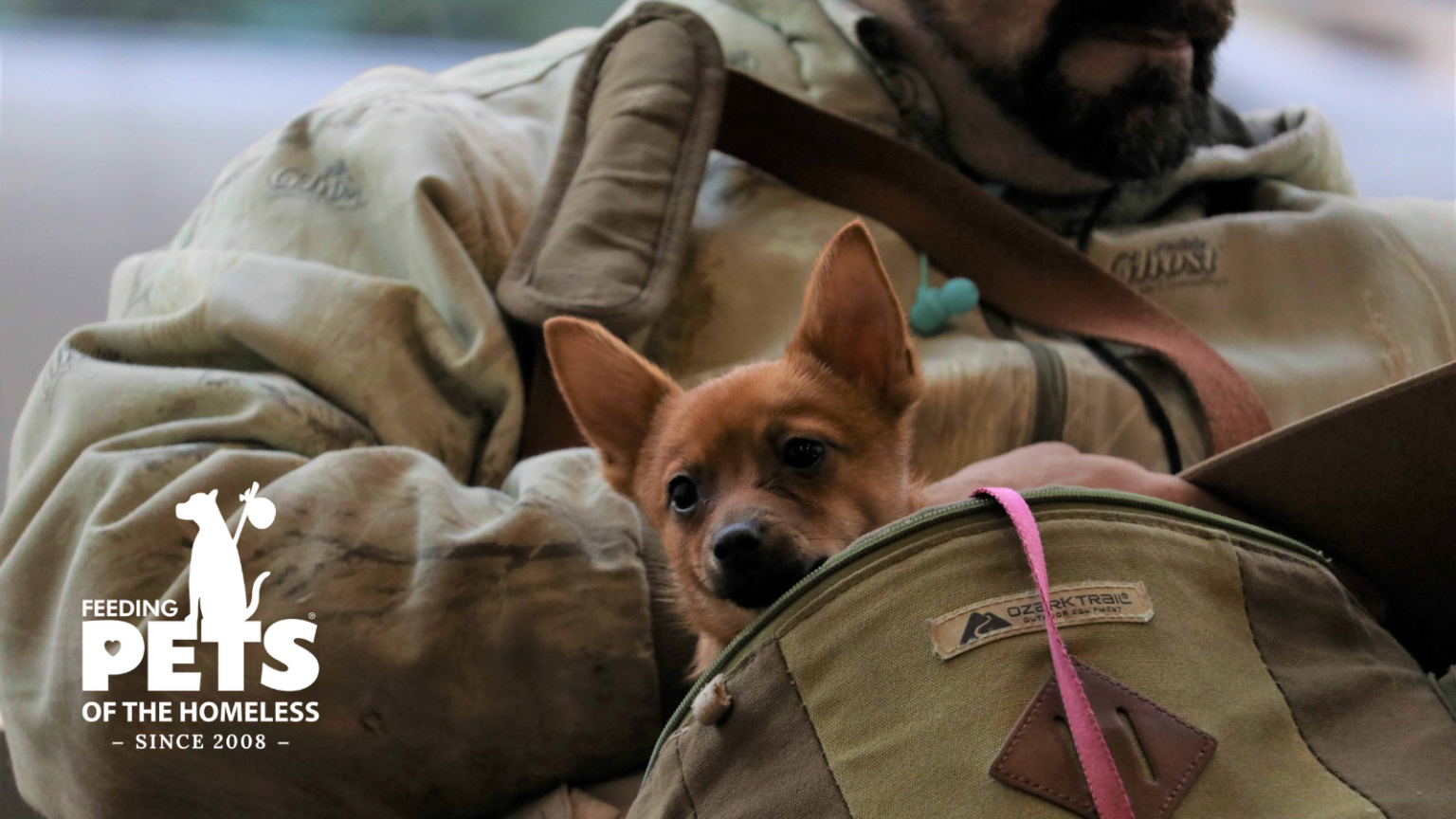 Feeding Pets of the Homeless® March 2022 Newsletter Issue 164 | Pets of ...